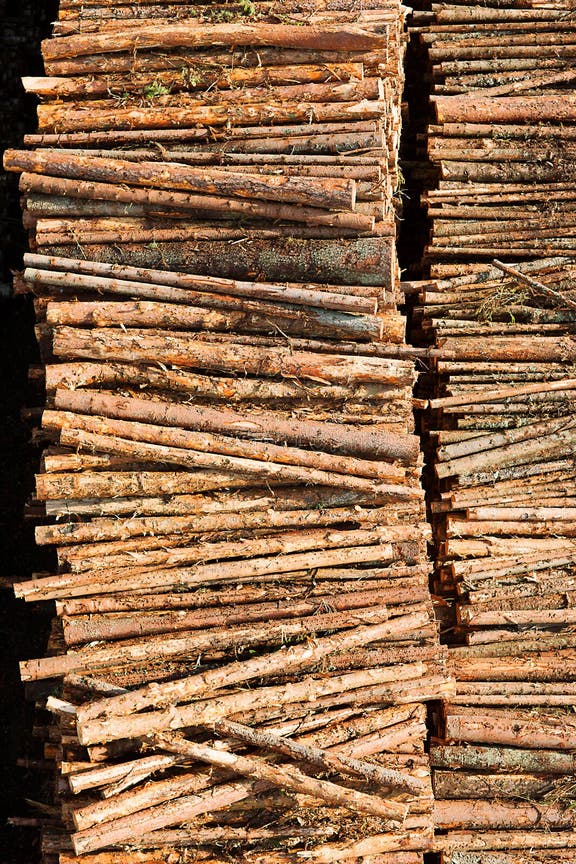 Timber resources stock image. Image of gradient, distribution - 28094409