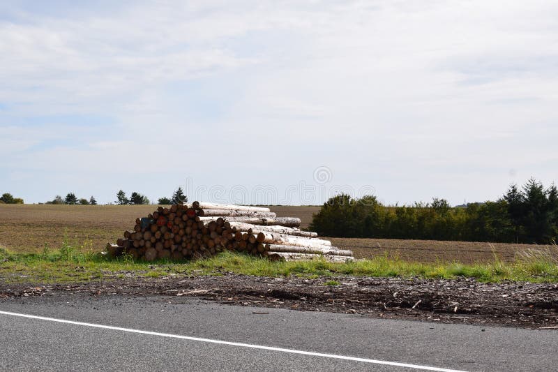 Timber on the roadside stock photo. Image of field, coast - 294188798