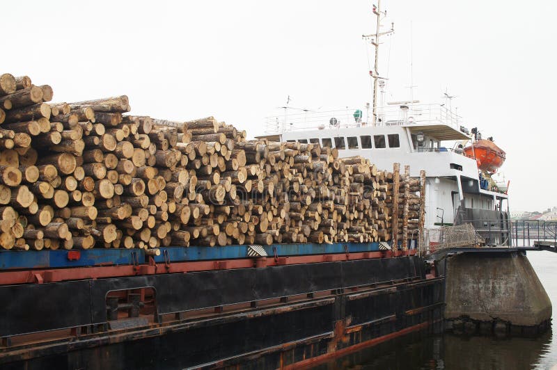 Shipping Timber in the Port of Picton Stock Image - Image of crane ...