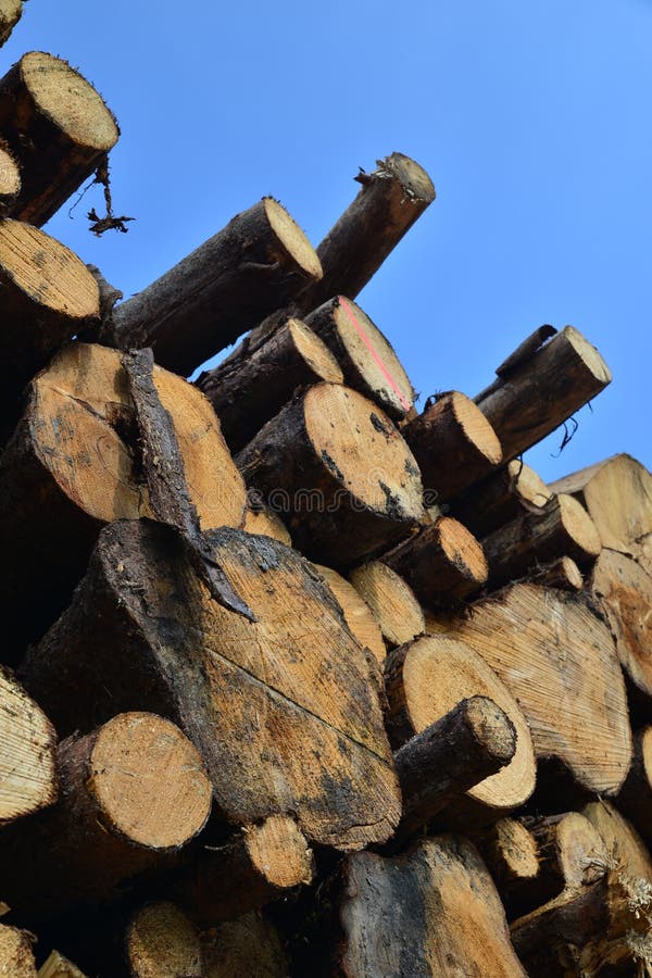 Timber stack stock image. Image of sizes, round, stack - 40117427
