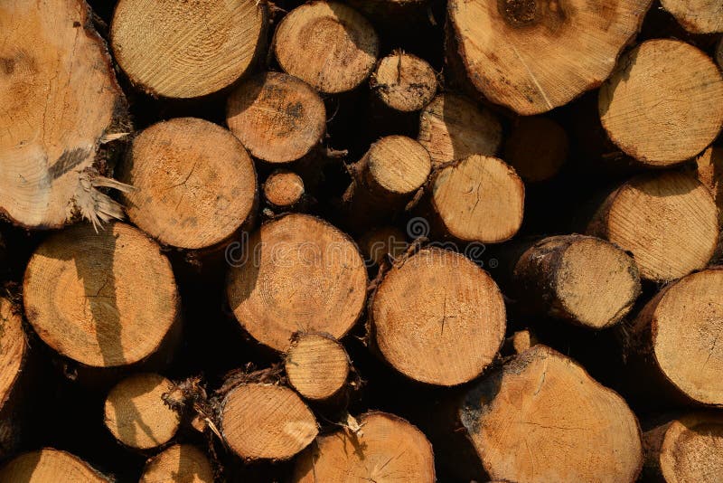 Timber stack stock image. Image of size, stack, waste - 40117765