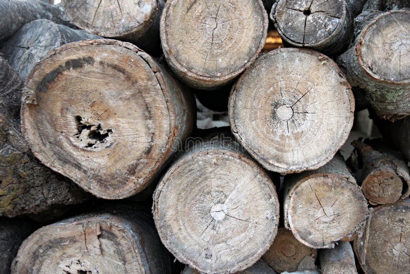 Timber of stacked. stock photo. Image of home, texture - 35836192