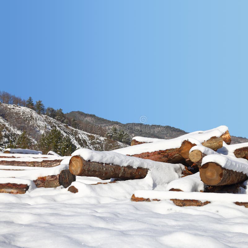 Timber stacks in snow stock image. Image of biofuels - 51505677