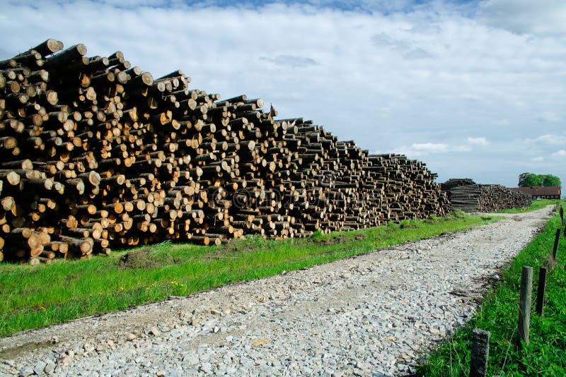 Timber stock stock image. Image of lumber, scale, timber - 897841