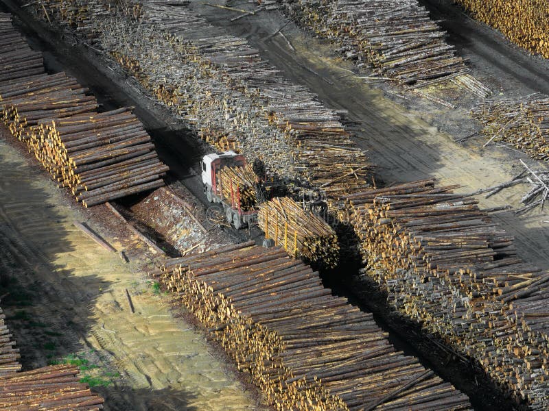 Temporary Timber Storage Site Stock Photos - Free & Royalty-Free Stock ...