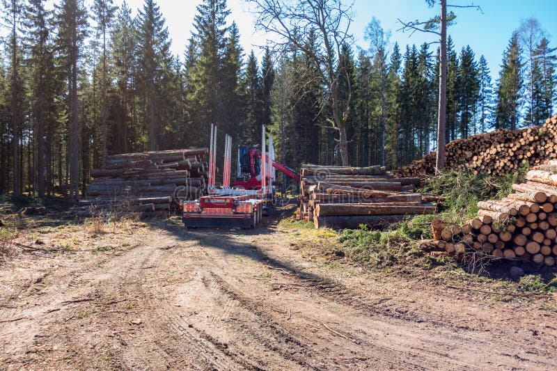 Timber Storage in the Forest with a Truck Editorial Stock Photo - Image ...