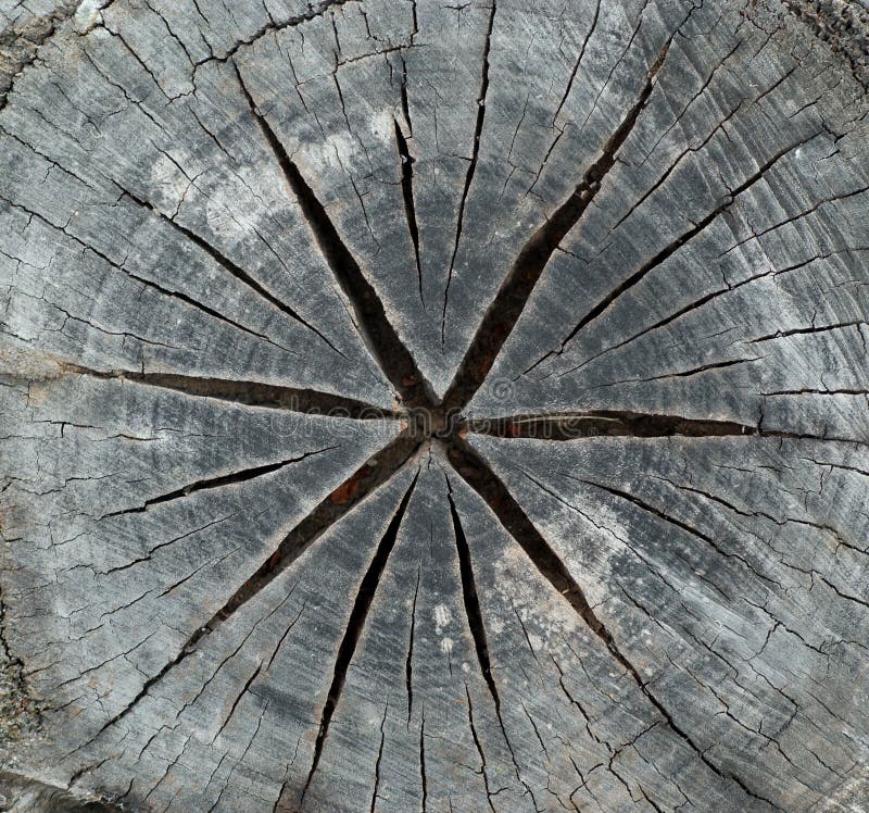 Timber stock photo. Image of gnarl, decor, lumber, pattern - 32180932
