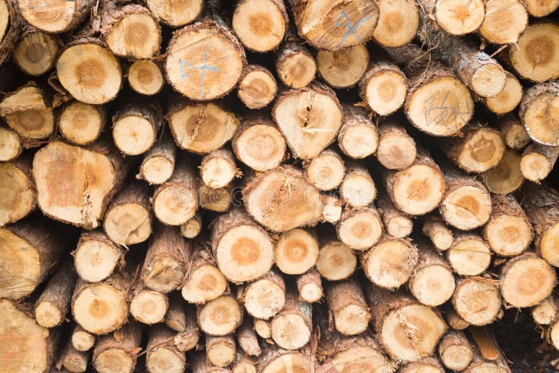 Timber texture stock image. Image of storage, landscape - 52076875