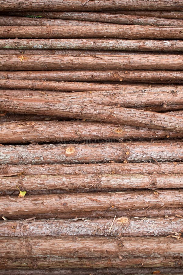 Timber texture stock image. Image of firewood, stick - 52076901
