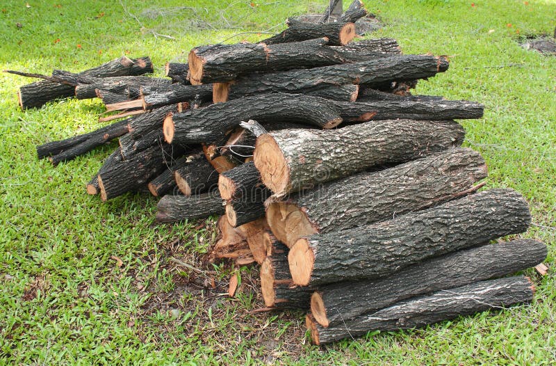 Timber texture stock photo. Image of firewood, bole, preparation - 58778994