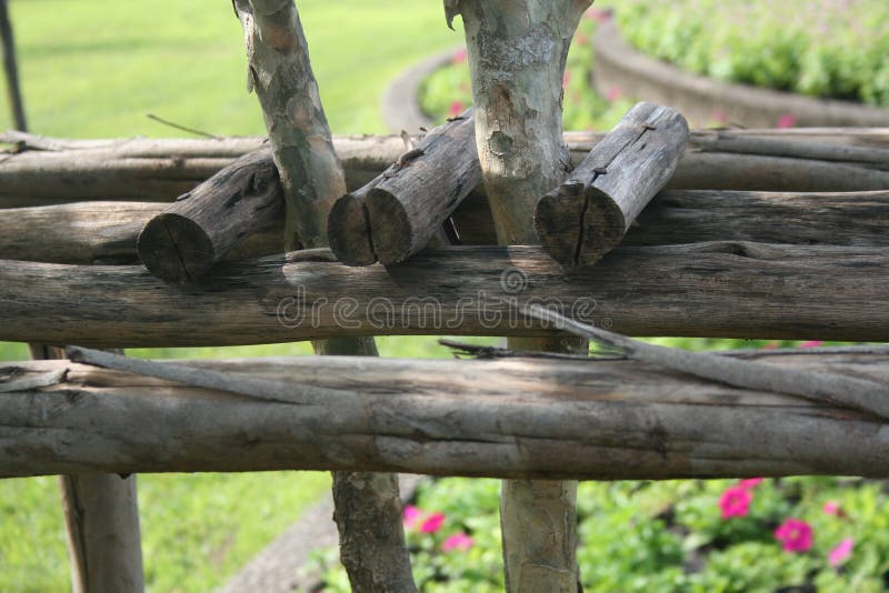Timber textured in garden stock photo. Image of tree - 82262382