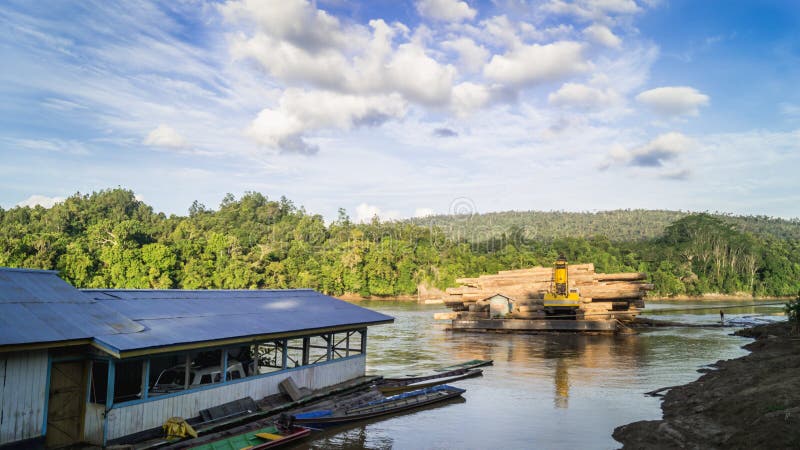 Stack of Huge Timber on a Barge in the River Surrounded by Green ...