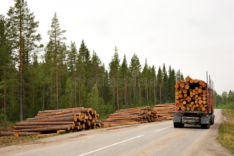 Timber stock photo. Image of lumber, transport, heap - 31450526
