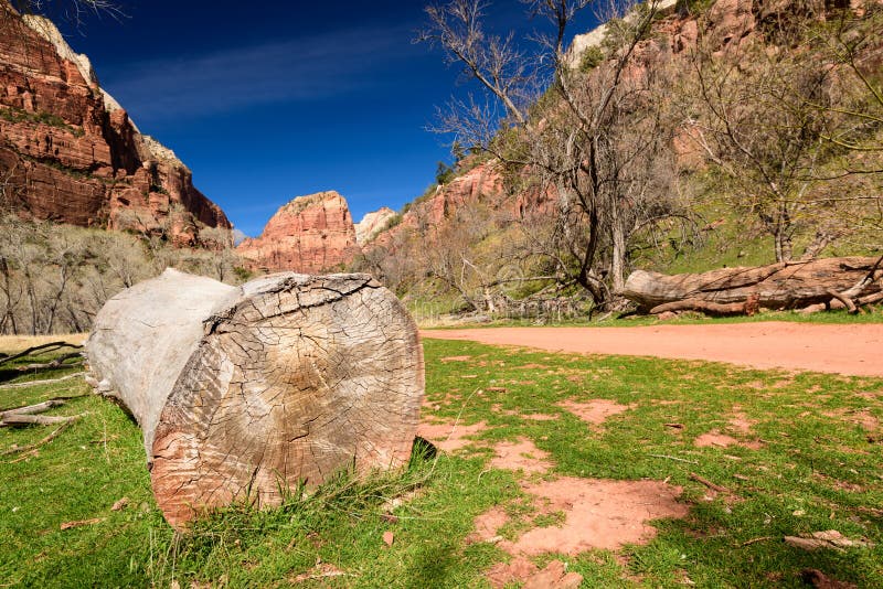 The timber stock image. Image of building, retro, summer - 69596669