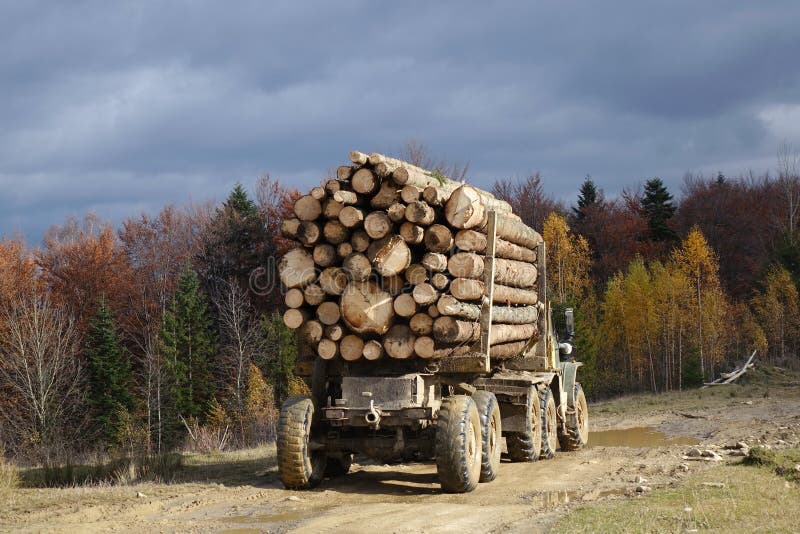 Old Timber Truck stock image. Image of scania, timber - 24194541