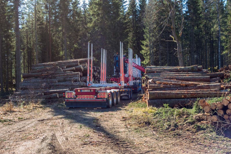 Timber Truck with a Trailer by a Timber Storage in the Woodland ...