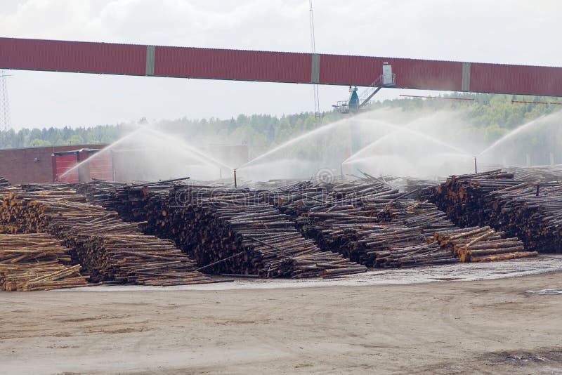 Pulp Wood Logs stock image. Image of timber, environment - 8898719