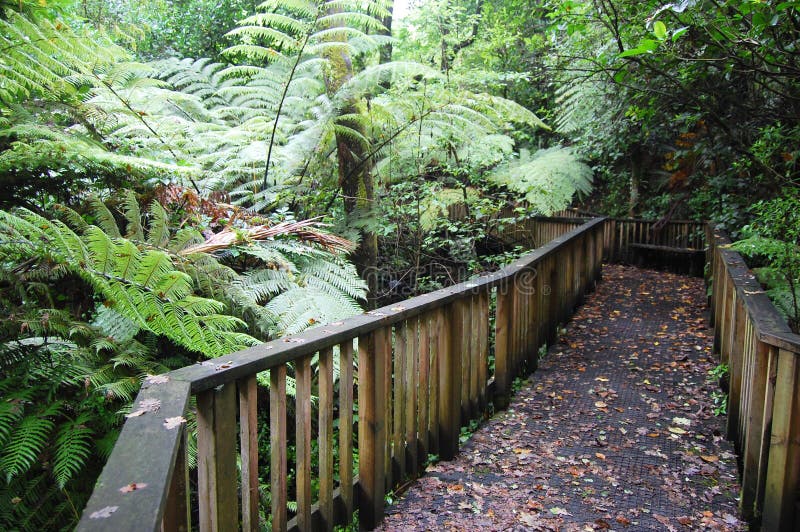 Timber Walking Path in Park Stock Photo - Image of walk, travel: 29698236