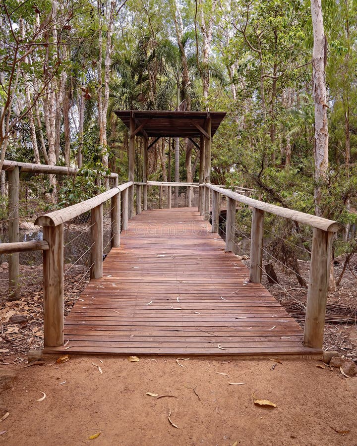 Timber Walking Track into the Forest Stock Photo - Image of park, rail ...