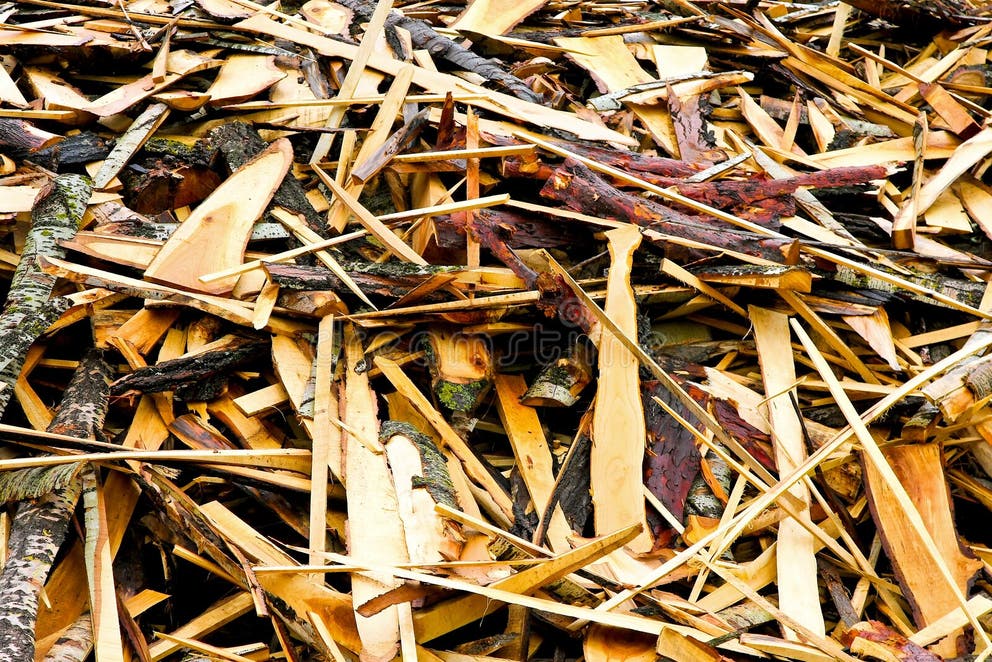 Timber waste stock photo. Image of recycle, tree, waste - 10702676