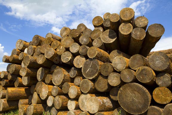 Timber stock photo. Image of bole, lumber, brown, product - 36706656