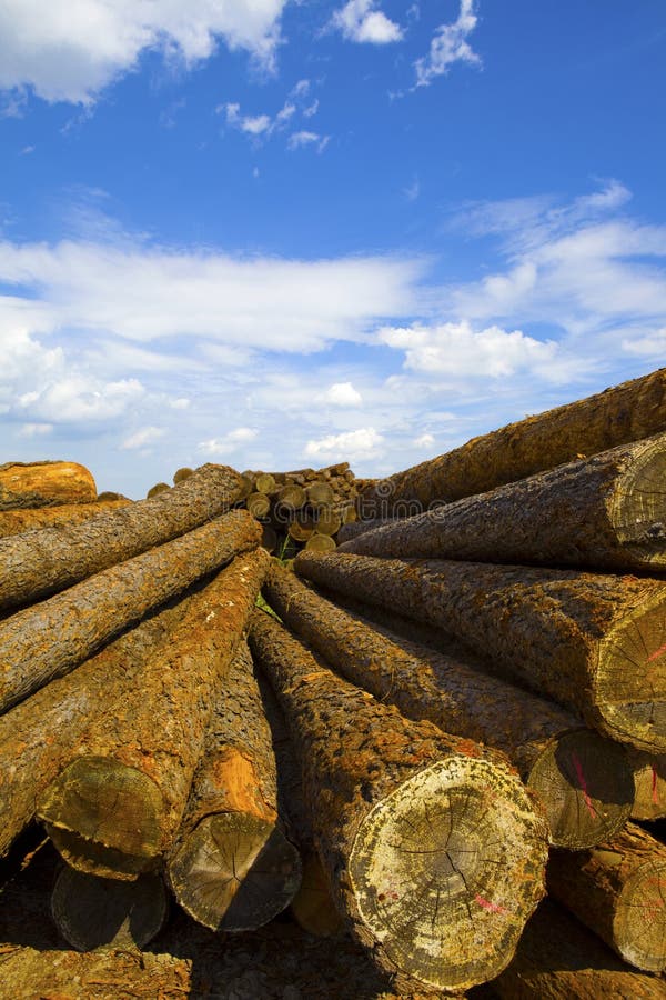 Timber stock image. Image of tree, fuel, format, material - 36706675