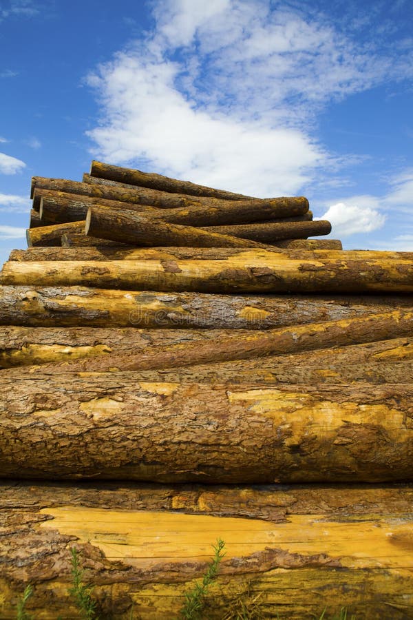 Timber stock photo. Image of renewable, fuelwood, fuel - 36706712
