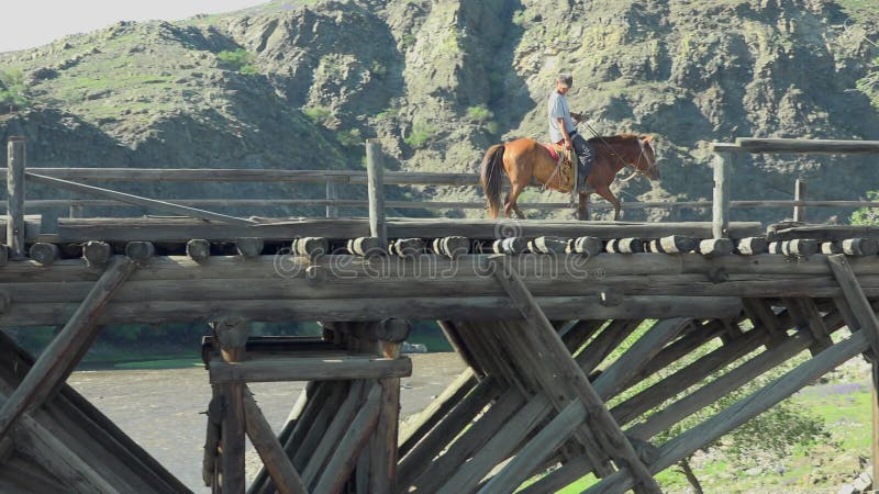 Timber Wooden Bridge Made of Tree Logs Stock Footage - Video of ...