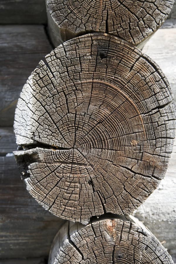Timber work 2 stock image. Image of summer, macro, piece - 2814333
