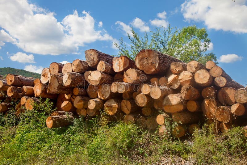 Timber works log pile stock image. Image of fuel, nature - 33729679
