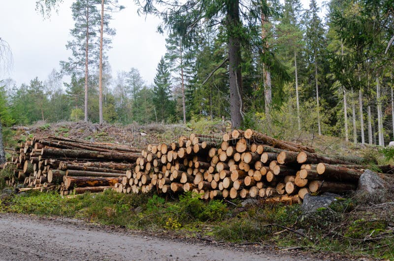 Timberstacks, Renewable Resources by Roadside Stock Photo - Image of ...