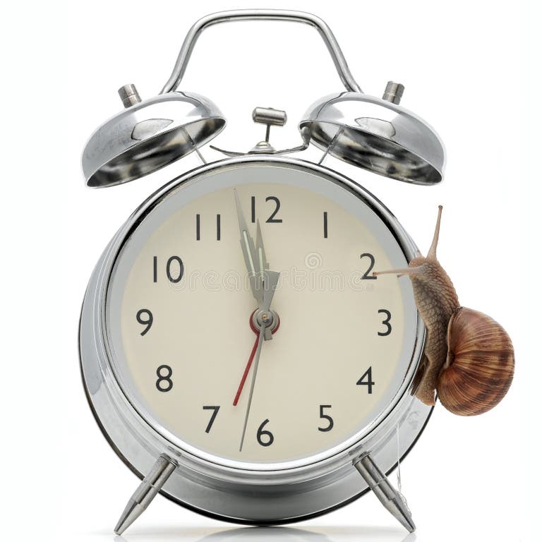 Time stock photo. Image of snail, time, invertebrate, slow - 2501562