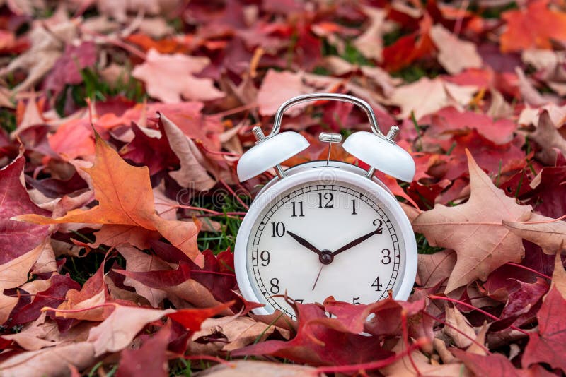 Time Change, Classic White Alarm Clock Outside on Grass Covered with ... Time Change, Classic White Alarm Clock Outside on Grass Covered with ...