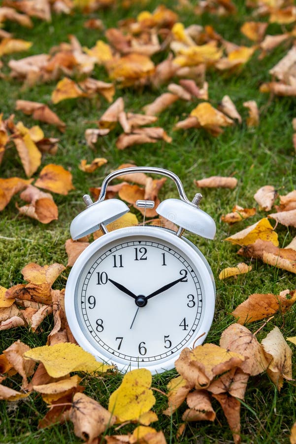 Time Change, Classic White Alarm Clock Outside on Grass and Moss with ... Time Change, Classic White Alarm Clock Outside on Grass and Moss with ...