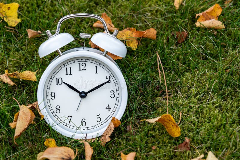 Time Change, Classic White Alarm Clock Outside on Grass and Moss with ... Time Change, Classic White Alarm Clock Outside on Grass and Moss with ...