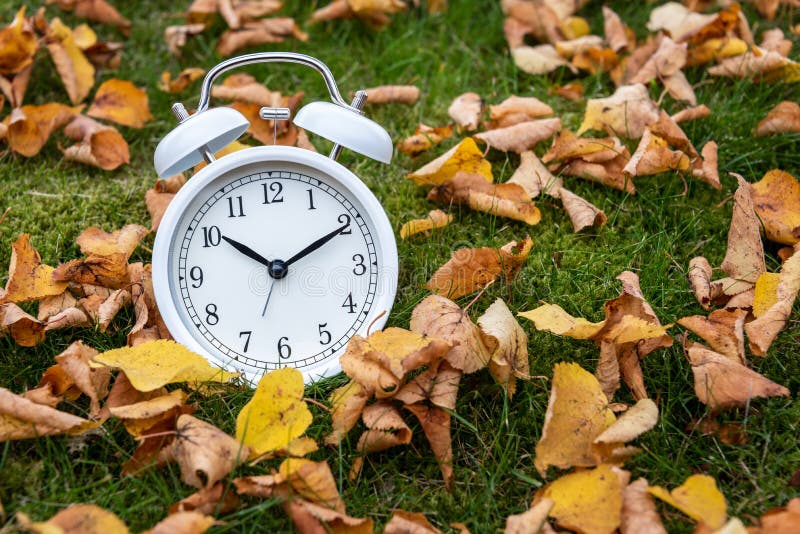 Time Change, Classic White Alarm Clock Outside on Grass and Moss with ... Time Change, Classic White Alarm Clock Outside on Grass and Moss with ...