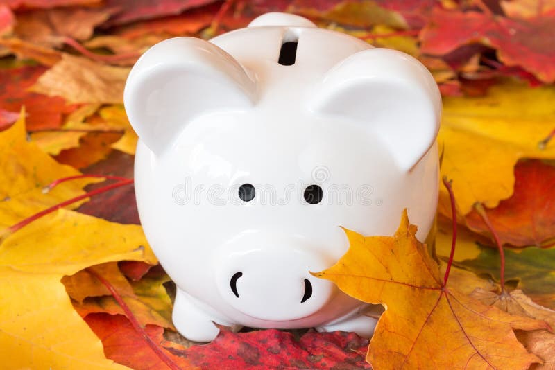 Time for Fall Savings stock image. Image of payment - 100577669