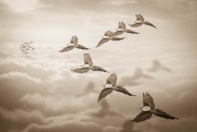 Time flies stock image. Image of differential, digit - 83930867