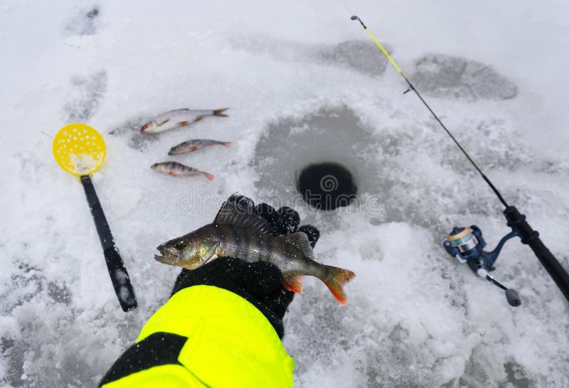 Time for Lake Winter Fishing Stock Image - Image of predator, hobby ...