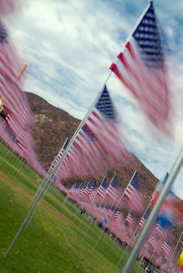 American Flag Rows stock image. Image of lawn, american - 11160125