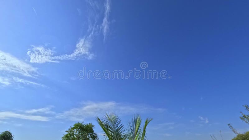 Time Lapse of Beautiful Blue Sky with Clouds and Tree Branches ...