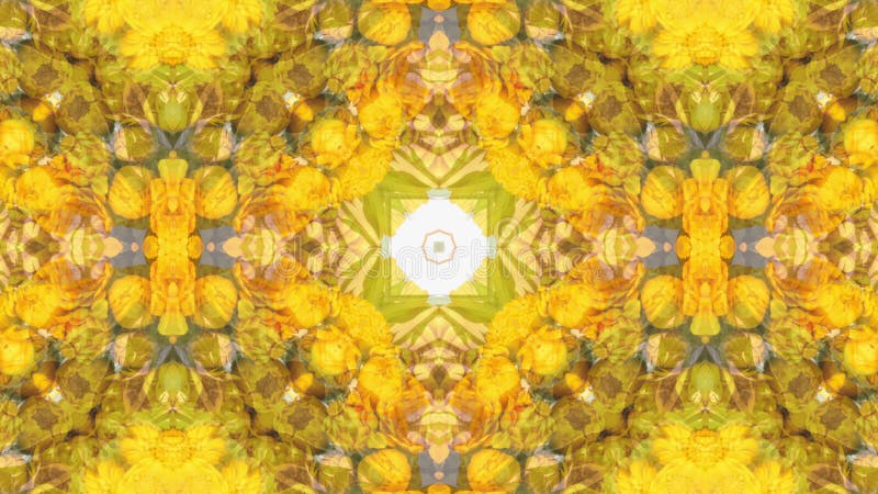 Time Lapse Bouquet of Marigold Flowers with Kaleidoscope Effect ...
