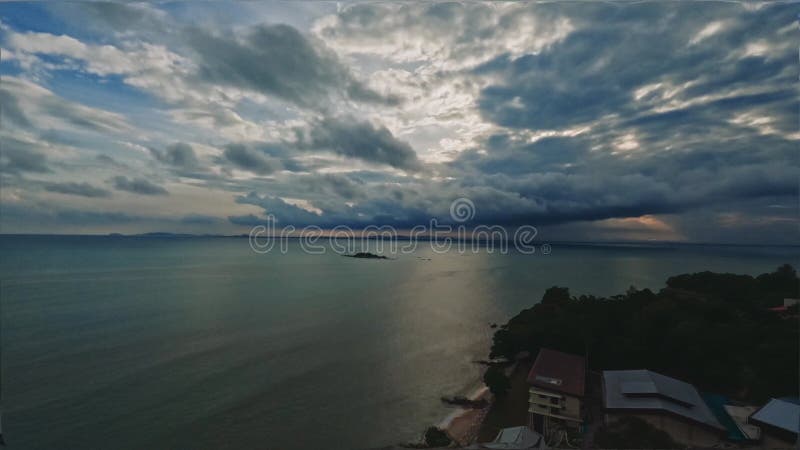 Time Lapse Footage of the Light Winds Moving the Wild Plants with ...