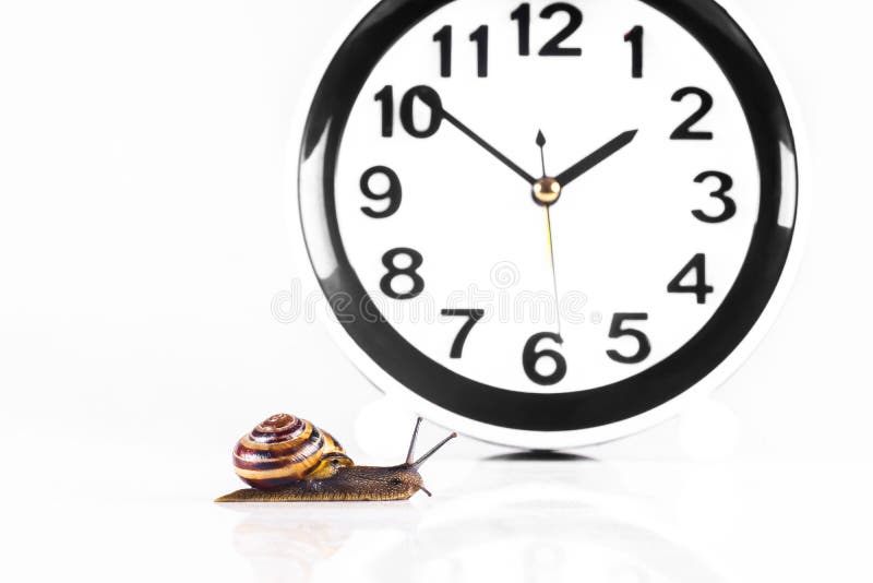 Time Lapse Concept - Snail and Clock Isolated on White Stock Photo ...