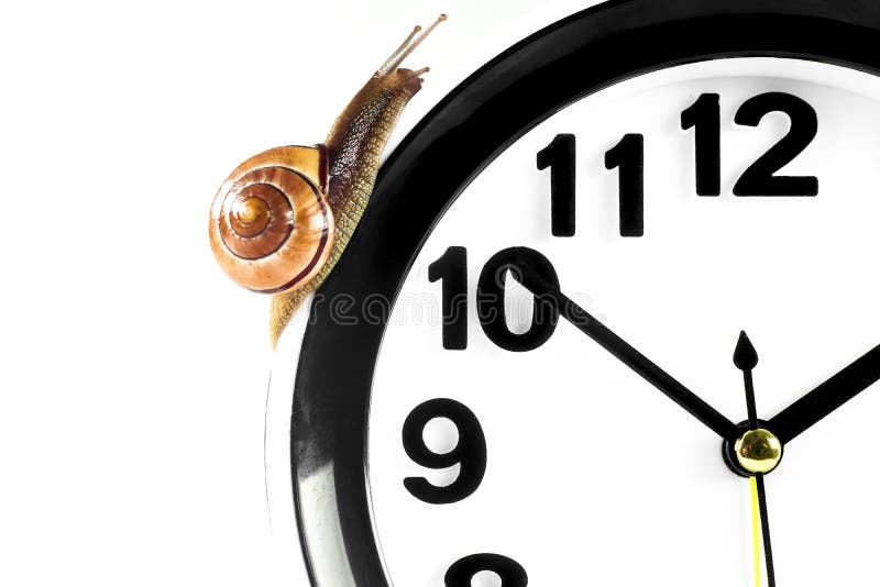 Time Lapse Concept - Snail and Clock Isolated on White Stock Image ...