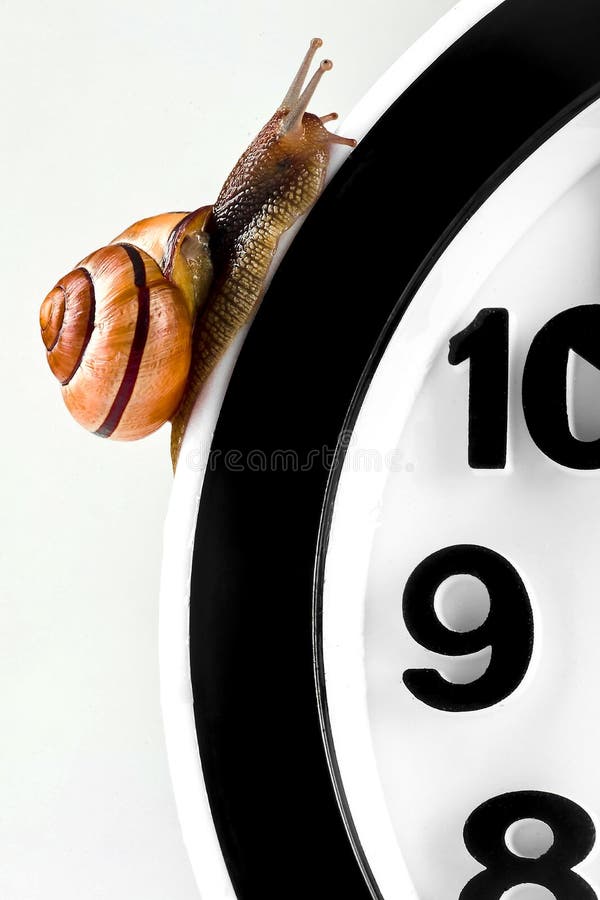 Time Lapse Concept - Snail and Clock Isolated on White Stock Image ...