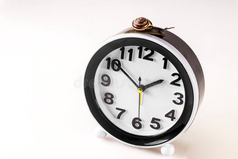 Time Lapse Concept - Snail and Clock Isolated on White Stock Photo ...