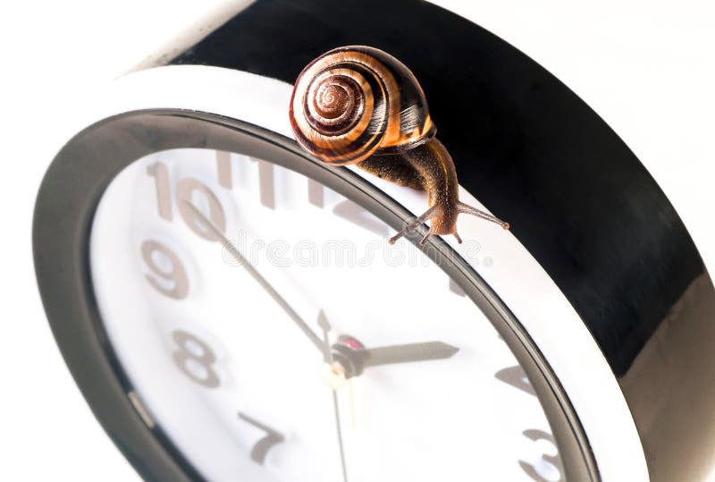 Time Lapse Concept - Snail and Clock Isolated on White Stock Photo ...