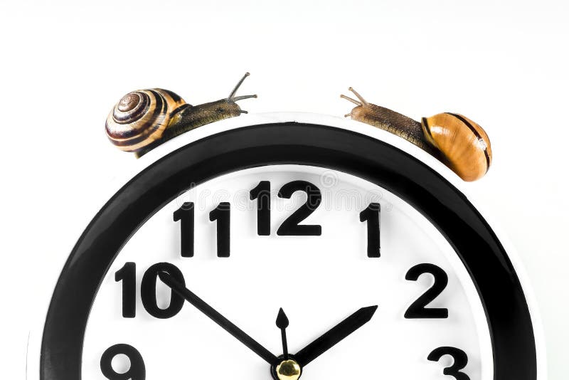 Time Lapse Concept - Snail and Clock Isolated on White Stock Image ...