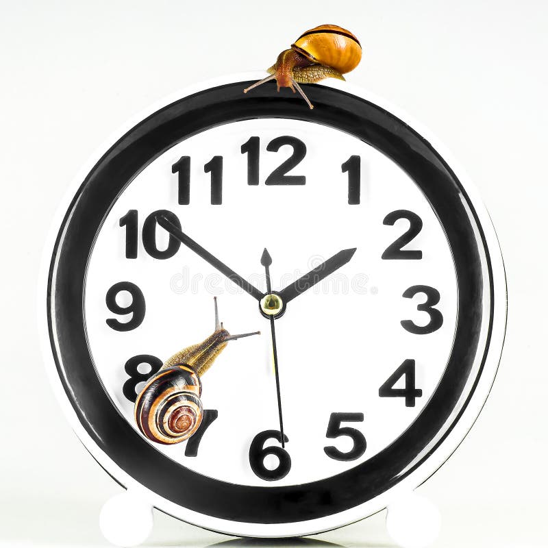Time Lapse Concept - Snail and Clock Isolated on White Stock Image ...